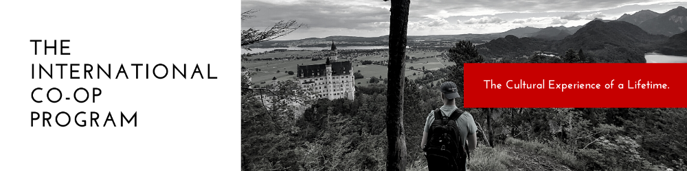 Programs > UC International Programs (Study Abroad)